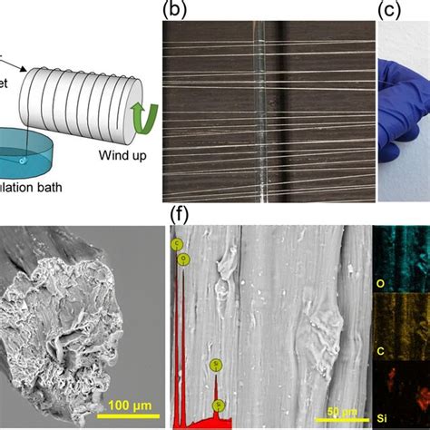 Gas Liquid Membrane Contactor Operating Parameters For Oxygenation And Download Scientific