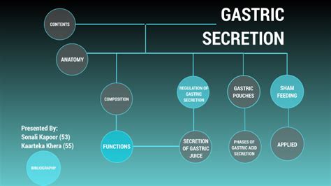 Gastric Secretion By Vishwas Malhotra On Prezi