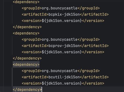 解决国密orgbouncycastle依赖冲突