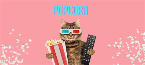 Katchy Hu Különleges Ajándékok és Nasik