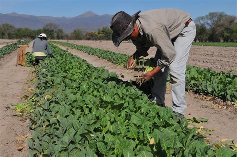 El Gobierno Transfirió Más De 2394 Millones Del Fondo Especial De