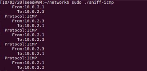 Seedlab实验sniffingspoofing 李小混的blog