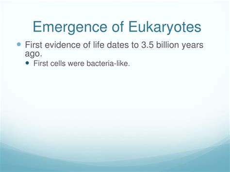 Ppt Unicellular Eukaryotes Powerpoint Presentation Free Download Id 6138727
