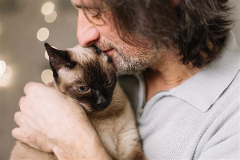 Can Cats Sense Depression And Anxiety