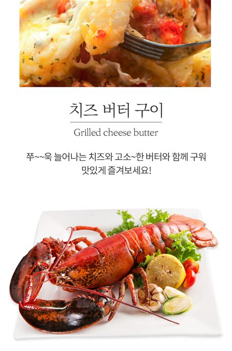 캐나다산 활 랍스터 자숙용 바닷가재 랍스터테일 주맛있는푸드
