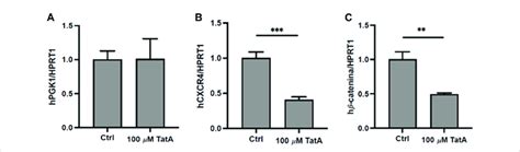 Quantitative Real Time Pcr Qrt Pcr Analysis Of Pgk1 A Cxcr4 B