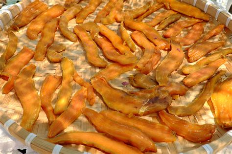 더운 날 베트남에서 햇볕에 노출되어 말린 노란 고구마 를 얇게 썬다 건강한 식생활에 대한 스톡 사진 및 기타 이미지 건강한 식생활 건조한 고구마 Istock