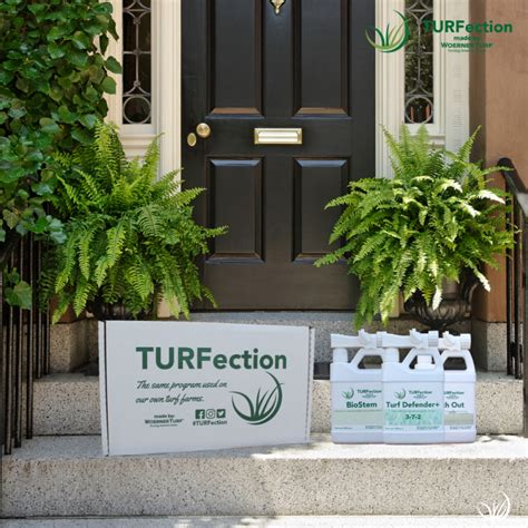 Woerner Turf And Landscape Supply Of Jacksonville Sod Landscape Products