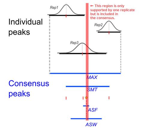 Combine Chip Seq Peaks From Multiple Replicates Via Consensus Voting