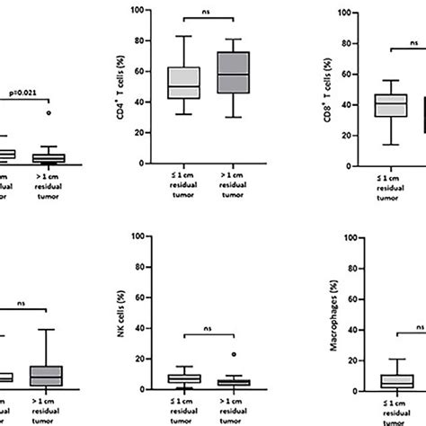 Box Plots Showing The Median Range And Quartiles For The Percentages