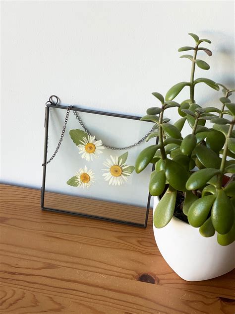 Hanging Double Glass Frames Square Floating Picture Frame Set Of 2