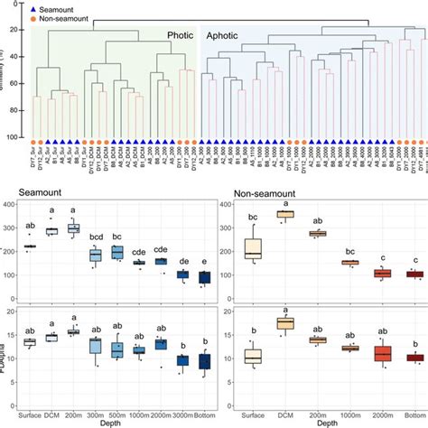 a cluster plot based on the bray‐curtis distance matrix of all