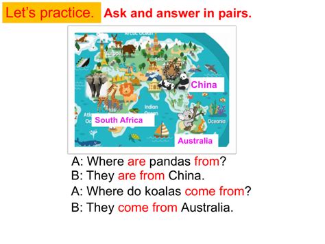 Unit 5 Why Do You Like Pandas Grammar Focus 3c 课件21世纪教育网 二一教育
