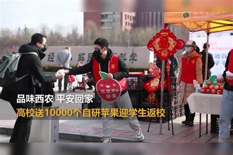 【陕西】高校送10000个自研苹果迎学生返校 学生：收到苹果很开心苹果陕西高校