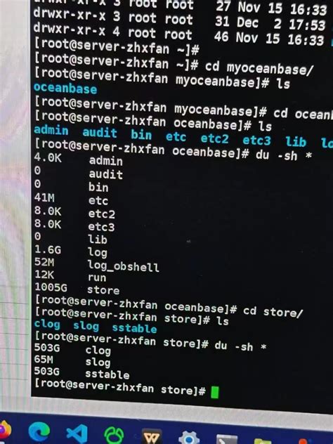 Oceanbase数据库下面store文件占用1个t，为什么这么大，能删除吗？ Oceanbase 技术问题 社区问答 Oceanbase社区 分布式数据库