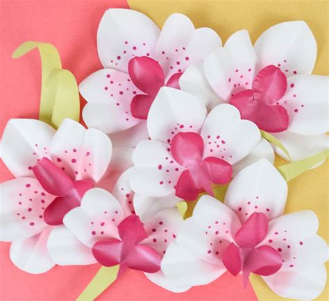 Diy Paper Flowers Diy Orchid Paper Flower Templates Wedding Orchid