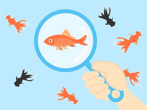 夏祭り屋台の金魚すくいの無料イラスト イラストセンター
