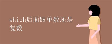 which后面跟单数还是复数 高三网