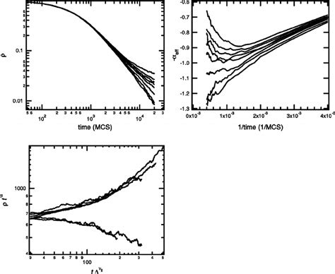 Results Of Monte Carlo Simulations Initiated With One Activator Per