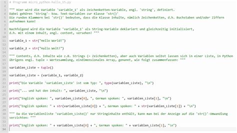 Programmieren Mit MicroPython Teil 1