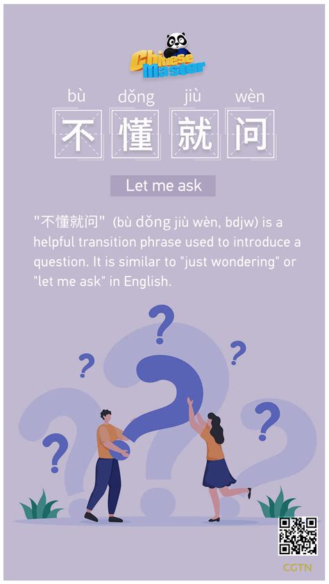 不懂就问 Let Me Ask Cgtn