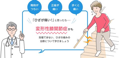 ひざ痛い jp 変形性膝関節症の痛みの原因治療に関する情報をお届けするサイトです