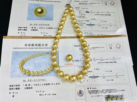 茶金套装 知乎
