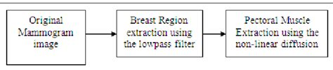 Block Diagram Of Mammogram Two Stage Preprocessing Download