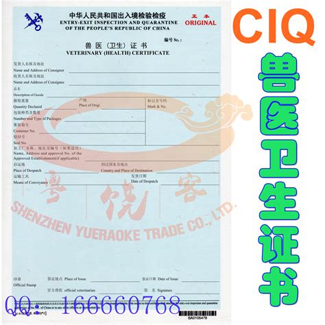 办理海关出具的兽医卫生证书 VETERINARY HEALTH CERTIFICATE 粤饶客