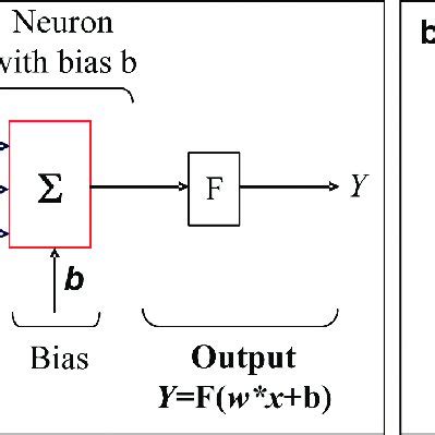 A Simplified Illustration Of A Neuron And B Of A Linear Transfer