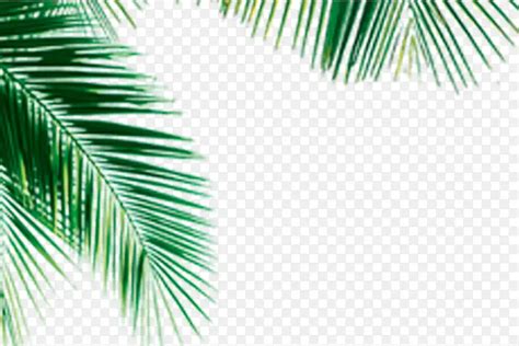 Png Png