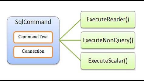 Adonet Sql Command Tutorial Execute Reader Execute Scalar Execute