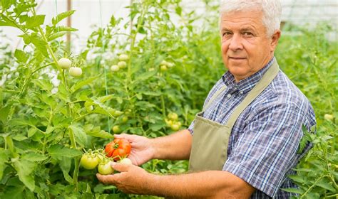Inspecting Plants Cropaia