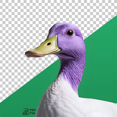 透明な背景の Png ファイルに隔離された前方のアヒル プレミアムpsdファイル