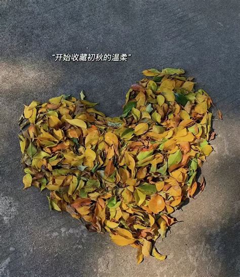 Cantomando Tutoring Shop On Linkedin Learn Chinese Online Cantonese