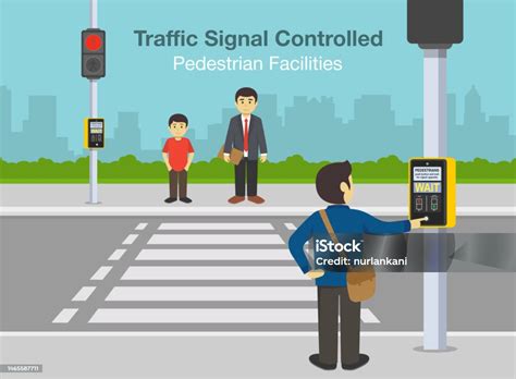 Road Crossing With A Traffic Light Traffic Signal Controlled Pedestrian Facilities Stock
