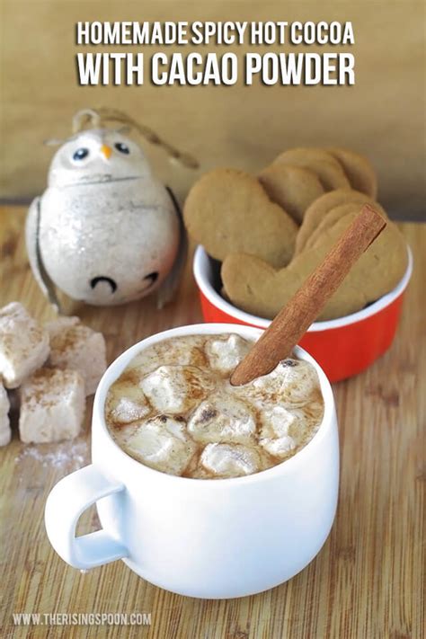 How To Make Hot Cocoa With Cacao Powder VIDEO The Rising Spoon