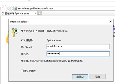 Web 服务器（iis） Netnote