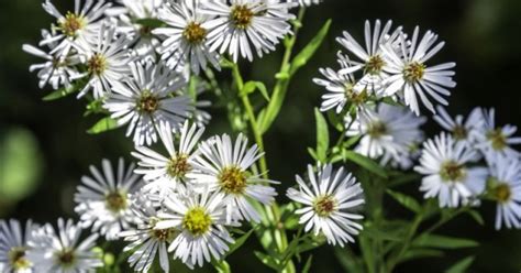 Хороскоп за 15 септември 2022г Рак Денят благоприятства активен начин на живот и разнообразни