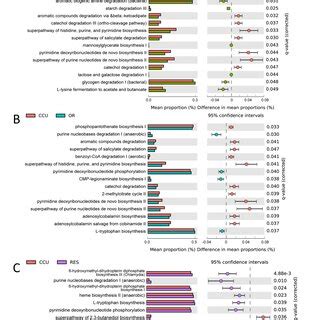 Functional Characterization Of Different Groups Based On PICRUSt2