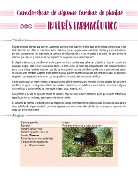 P12 Familias De Plantas Pdf Plantas Flores