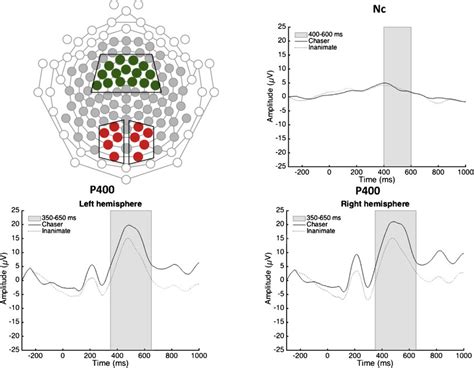 Grand Average ERP Data For Selected Channels For The Nc Component In Download Scientific