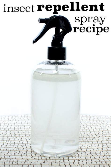 Natural Insect Repellent Spray Recipe