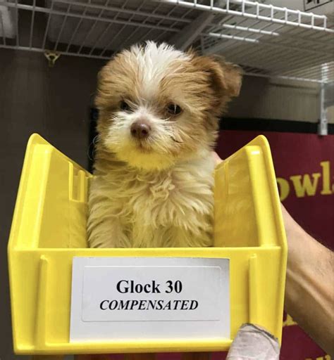 Glock 30 460 Rowland Conversion 460 Rowland