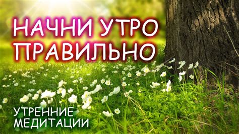 Начни свой день правильно Утренняя медитация для позитивного начала дня Youtube