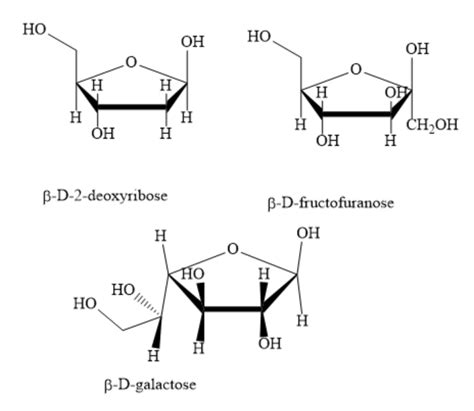 2 Deoxyribose Structure