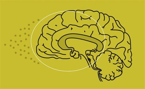 New Gene Therapy To Stop Parkinsons Disease Longevitytechnology