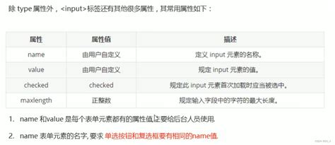 Web Csdn