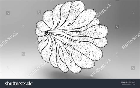 Drawing Female Mammary Glands Stock Illustration 417776047 Shutterstock