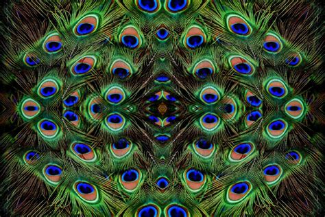 Как создать зеркальное изображение в Photoshop Photo University